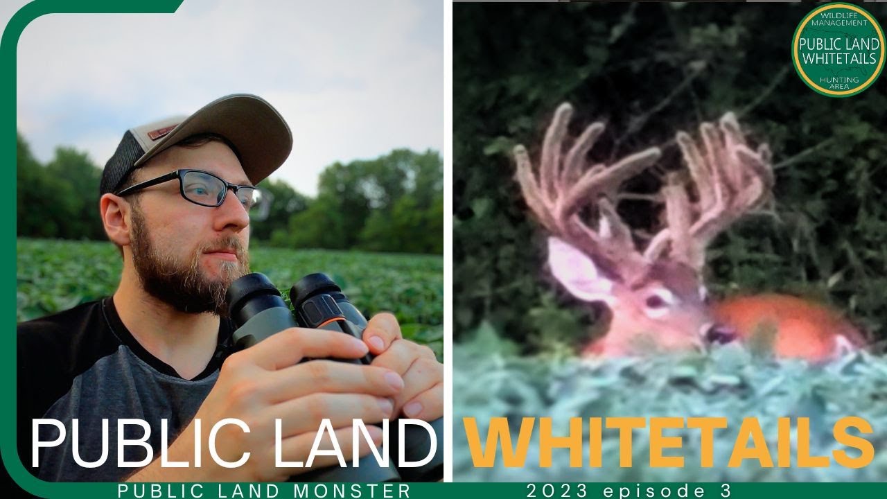 Locating A Truly Monstrous Buck On Public Land, Setting The Stage For ...