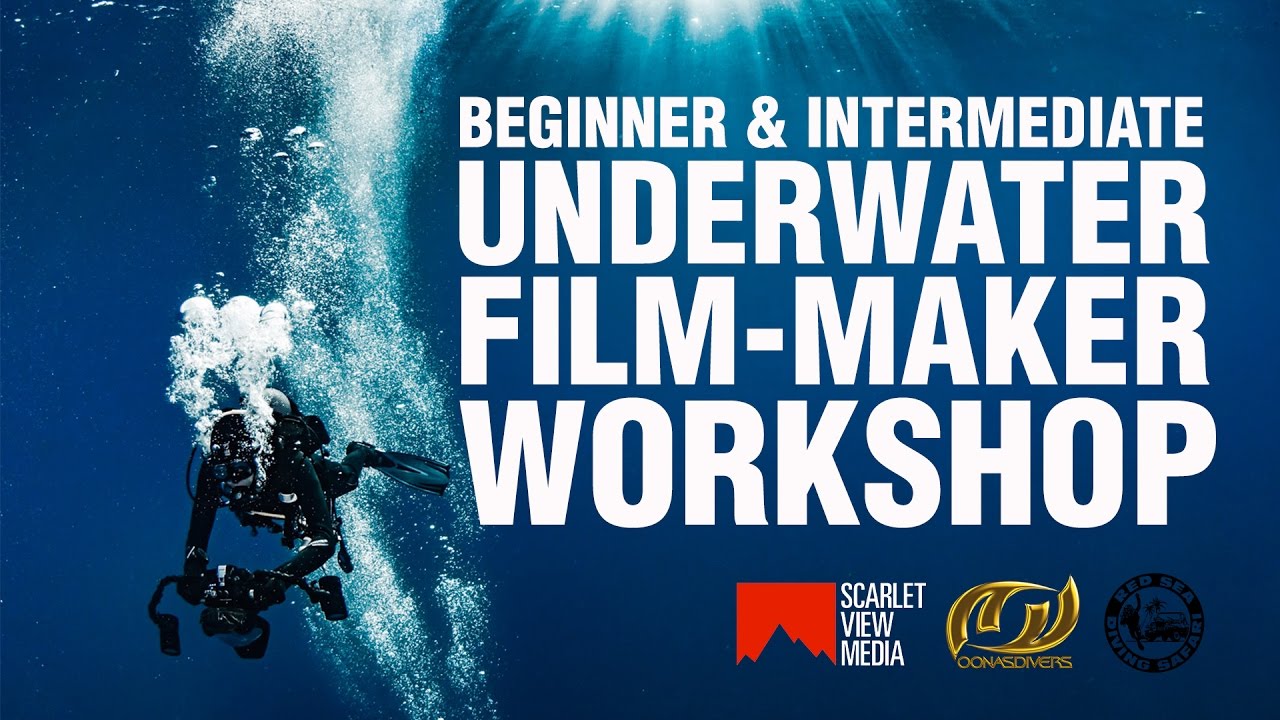 Beginner and Intermediate Underwater Film-Making Workshop with David ...
