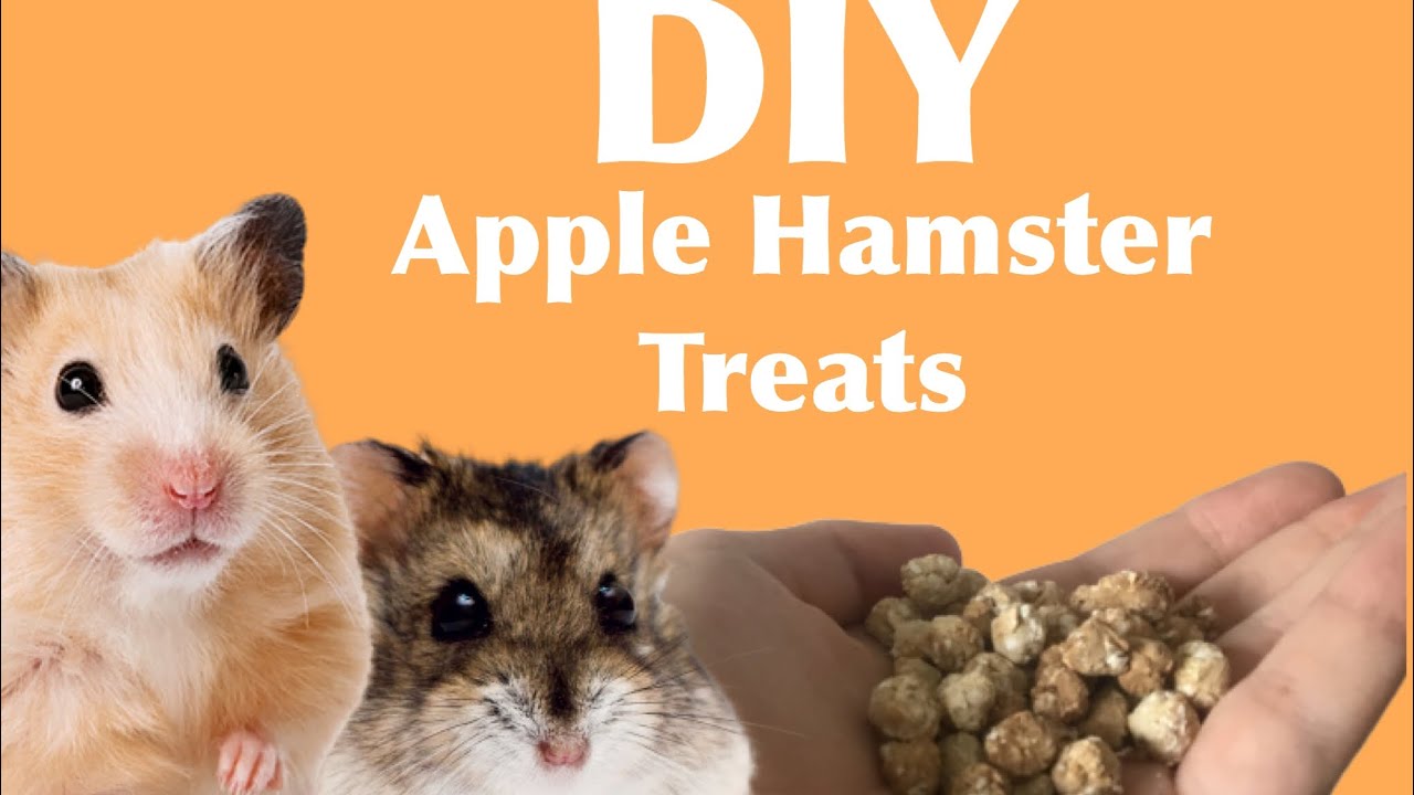 DIY Apple Hamster Treat Recipe! - YouTube