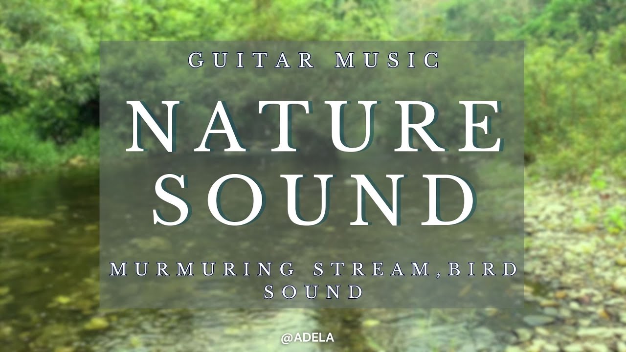 Relaxing Music with Nature Sound - Relaxing Natural Space With The ...