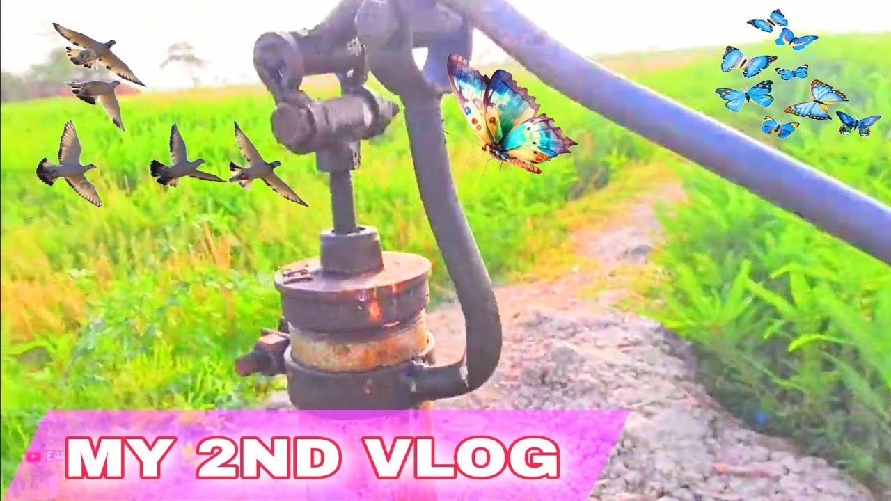 my 2nd vlog || vlog video without filters || 2nd day || e4u studio - YouTube