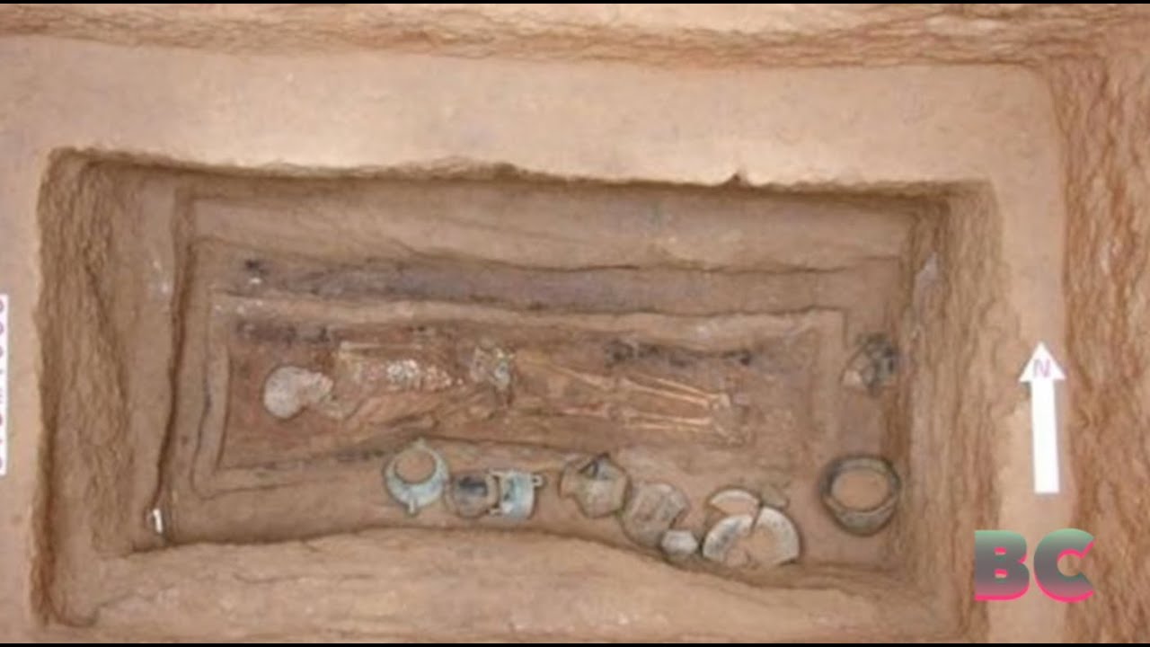 A collection of burial objects found in tomb of 3000-year-old ...