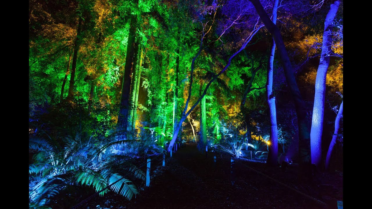 Dig-N-Rig 2nd series | Episode 2 What Enchanted Forest? - YouTube