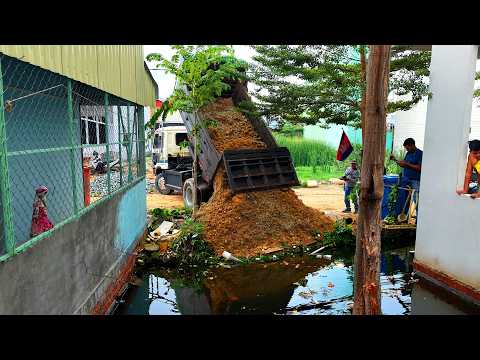 Full Video Complete 100%! Watchful Start New Project Landfill Removal Flood 5TON Truck Unloaded soil