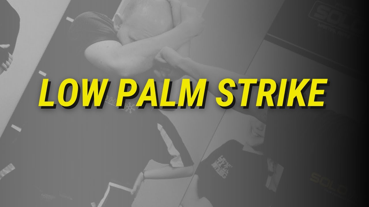 Using A Low Palm Strike - YouTube
