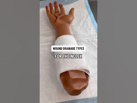 WOUND DRAINAGE TYPES #nclexreview #nclex #nurse #medical # ...