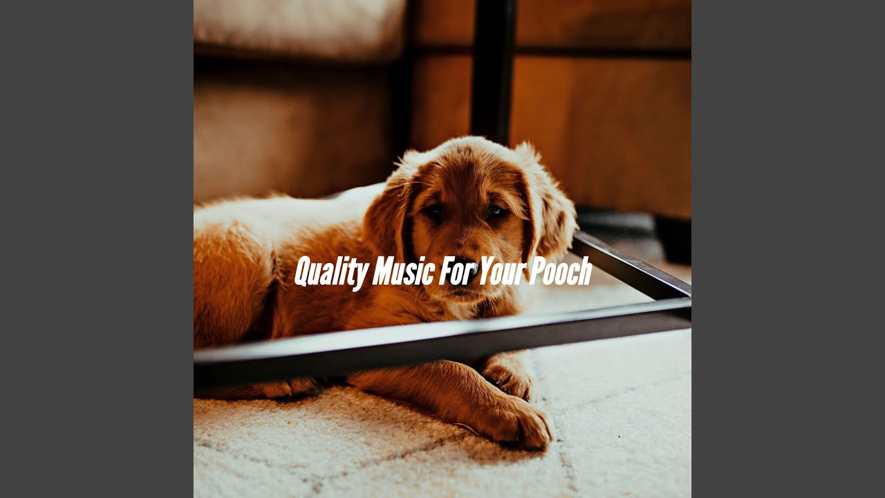 Sprightly Piano Duo and Alto Sax - Vibe for Classy Pups - YouTube