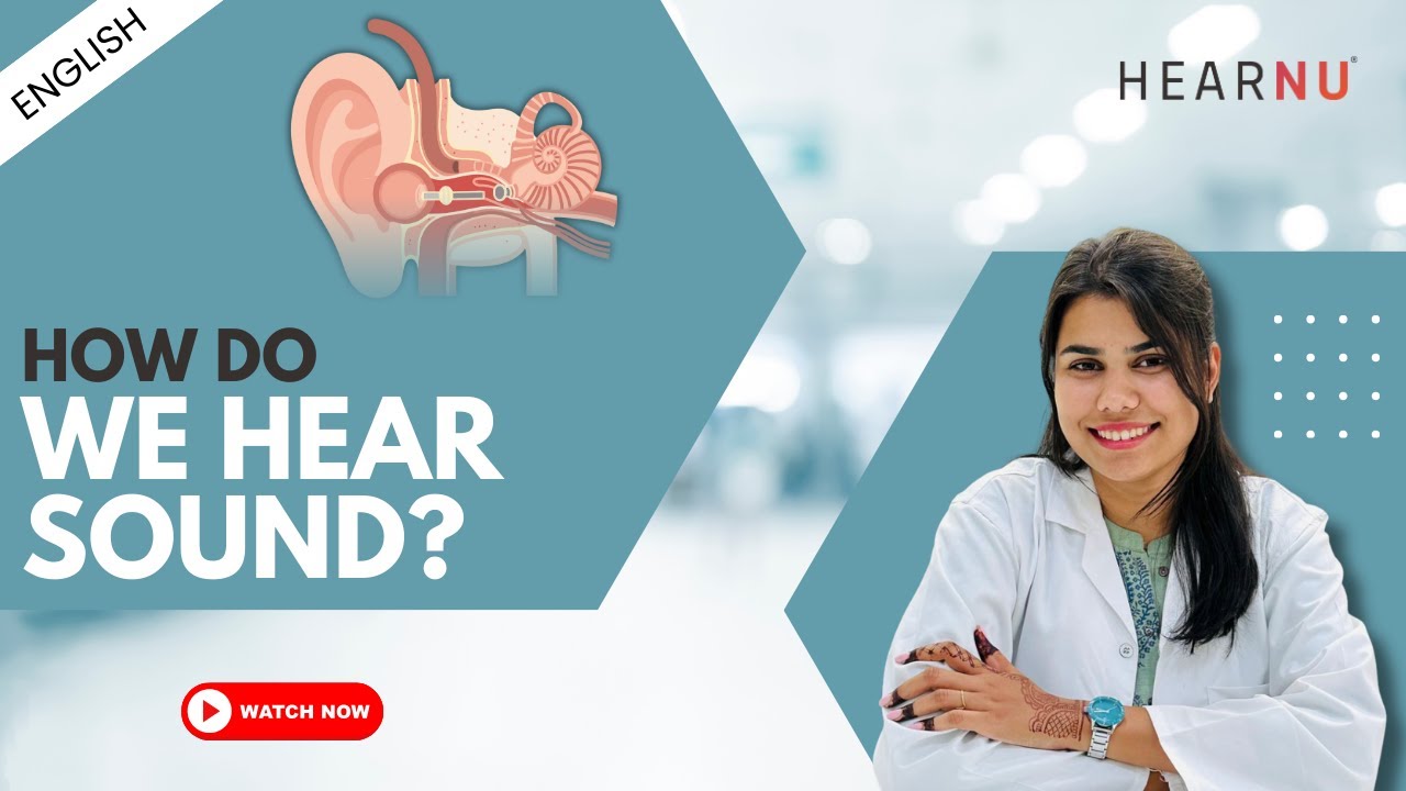 How Do We Hear Sound? | Simple Science of Hearing Explained | Journey ...