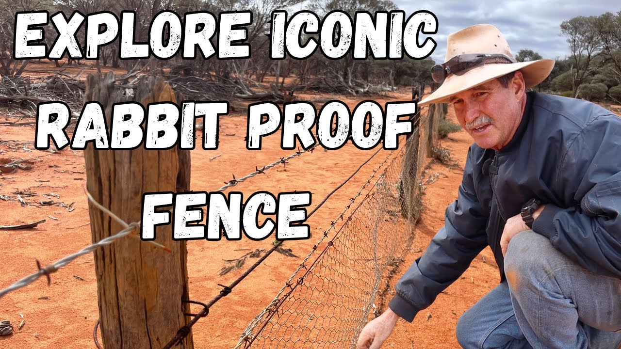 Can a Fence Stop A Rabbit Invasion? Explore the Legendary Rabbit Proof ...