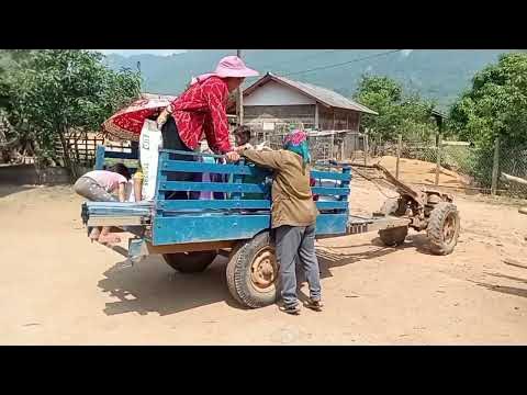 npaj yuav mus tom teb mus them teb cog nplej os lawv - YouTube