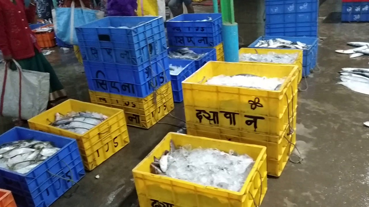 Naigaon Fish Market Near Mumbai - YouTube