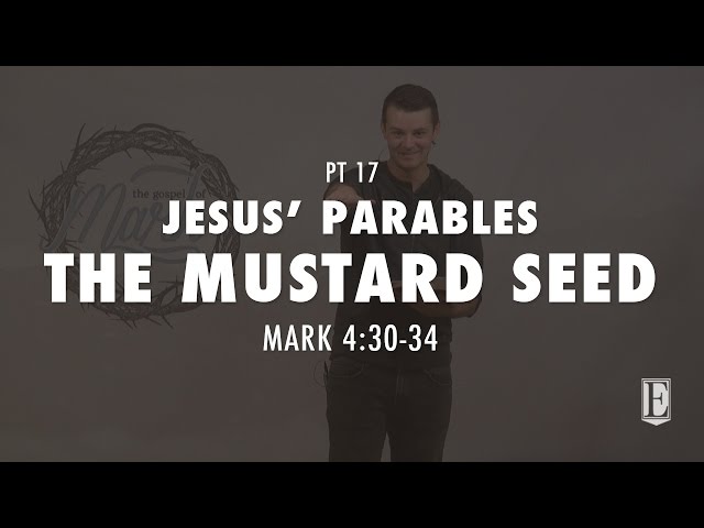 The Parable Of The Mustard Seed Mark 43034 Christ