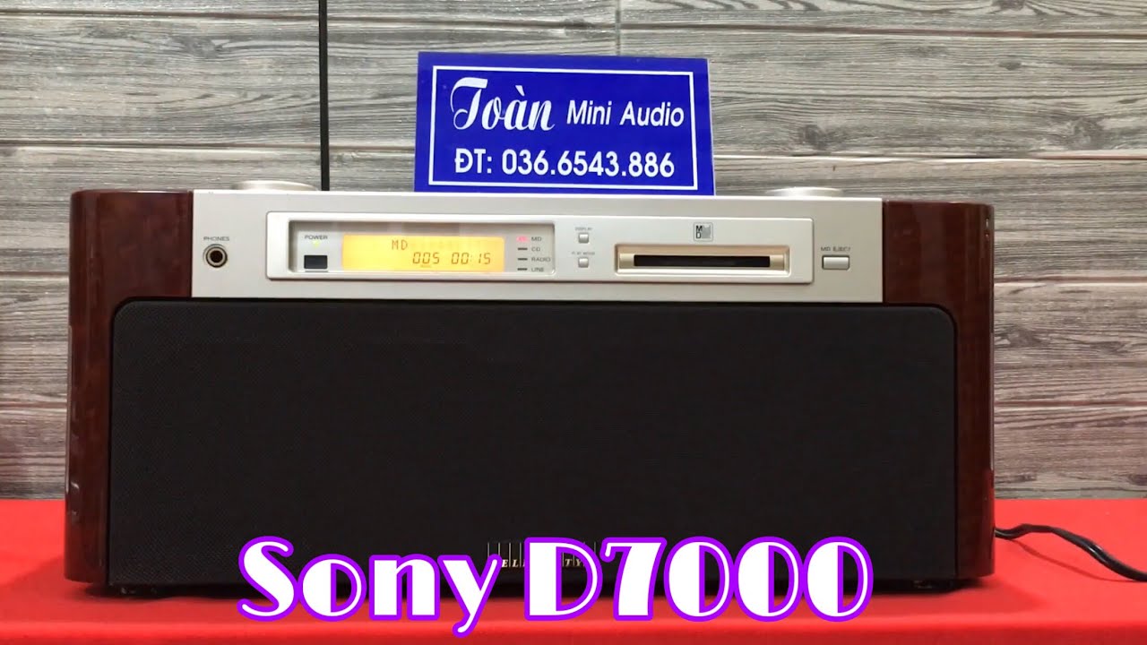Test SONY D7000 cho khách Hà Nội Chơi tết - Hàng kỉ niệm 30 năm của ...