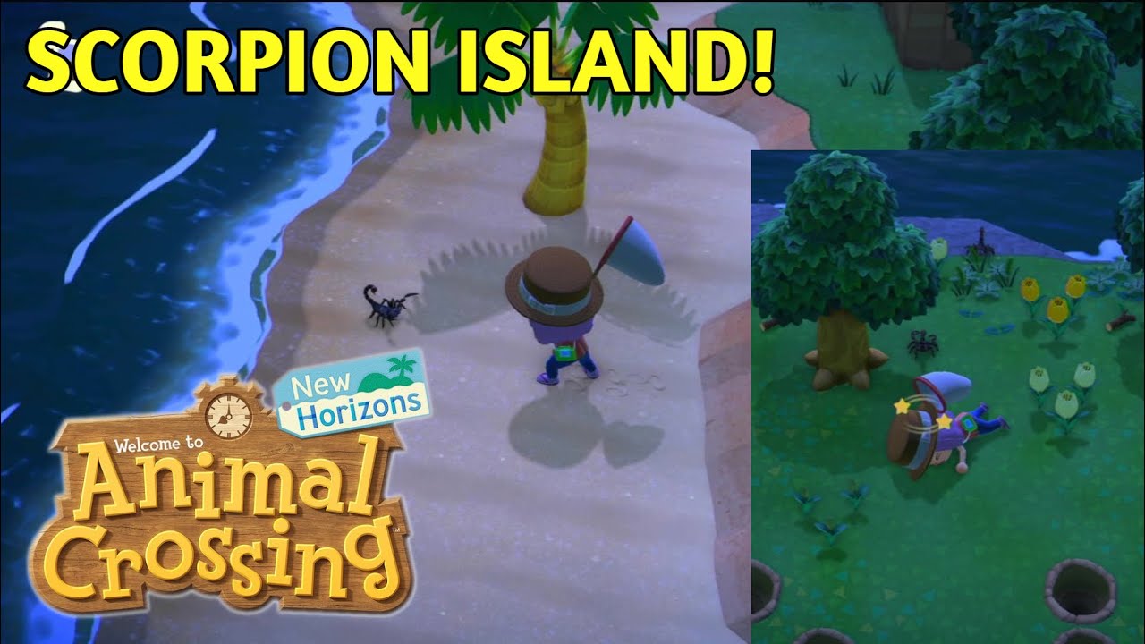 Animal Crossing: SCORPION ISLAND IS EXCITING | NUBBQUEEN - YouTube