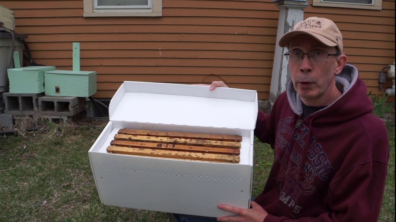 How to install a 5 frame NUC - YouTube
