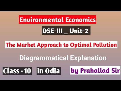 Determination of Optimal Pollution! DSE-III #economics # ...