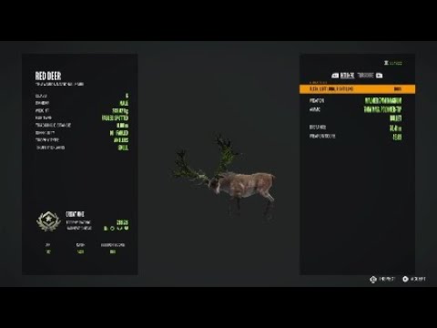 Great One Red Deer - YouTube