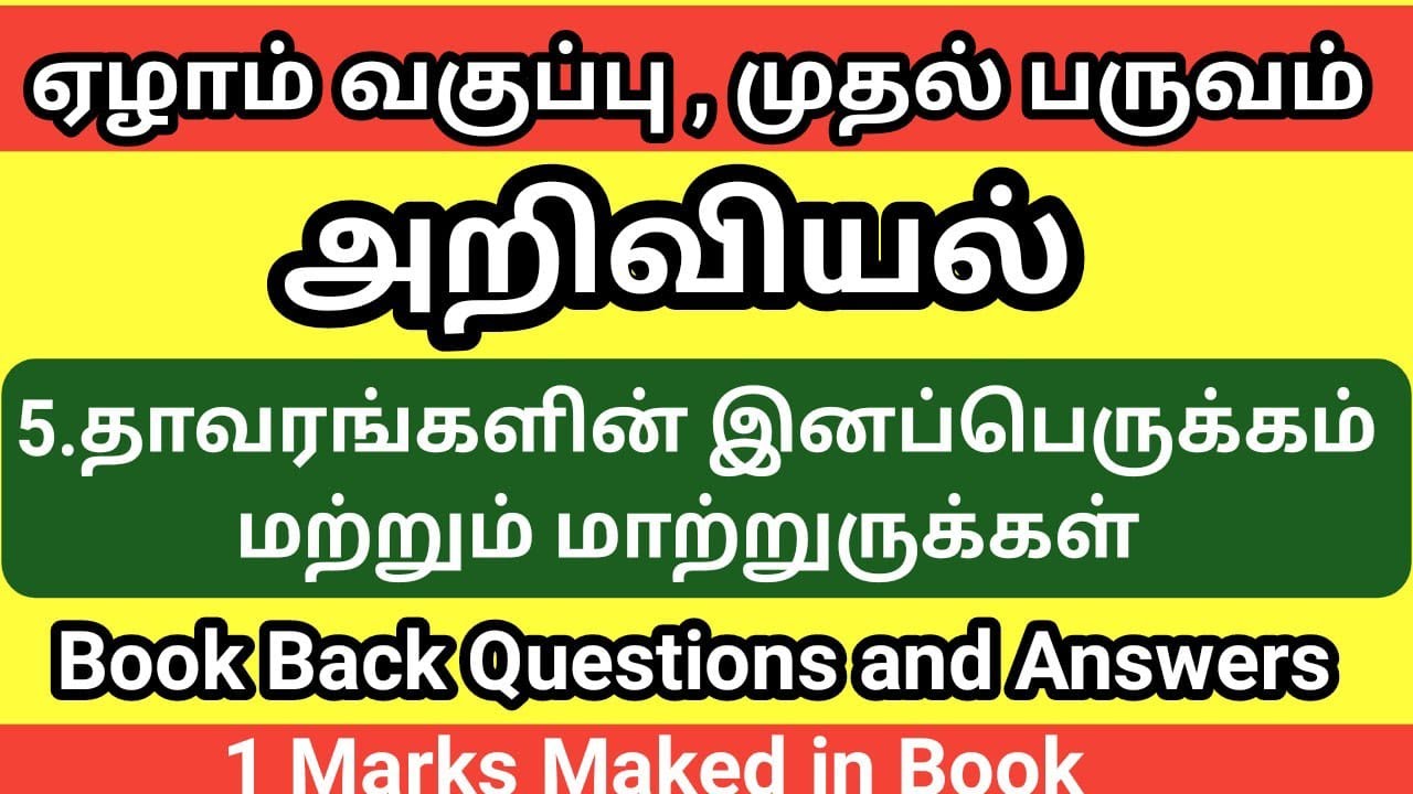 5 Book Back Answers 5 Book Back Answers