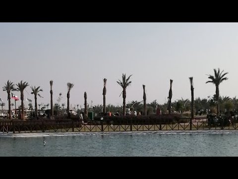 🔴Finally Arrived now in Zahra Farm Kuwait City - YouTube