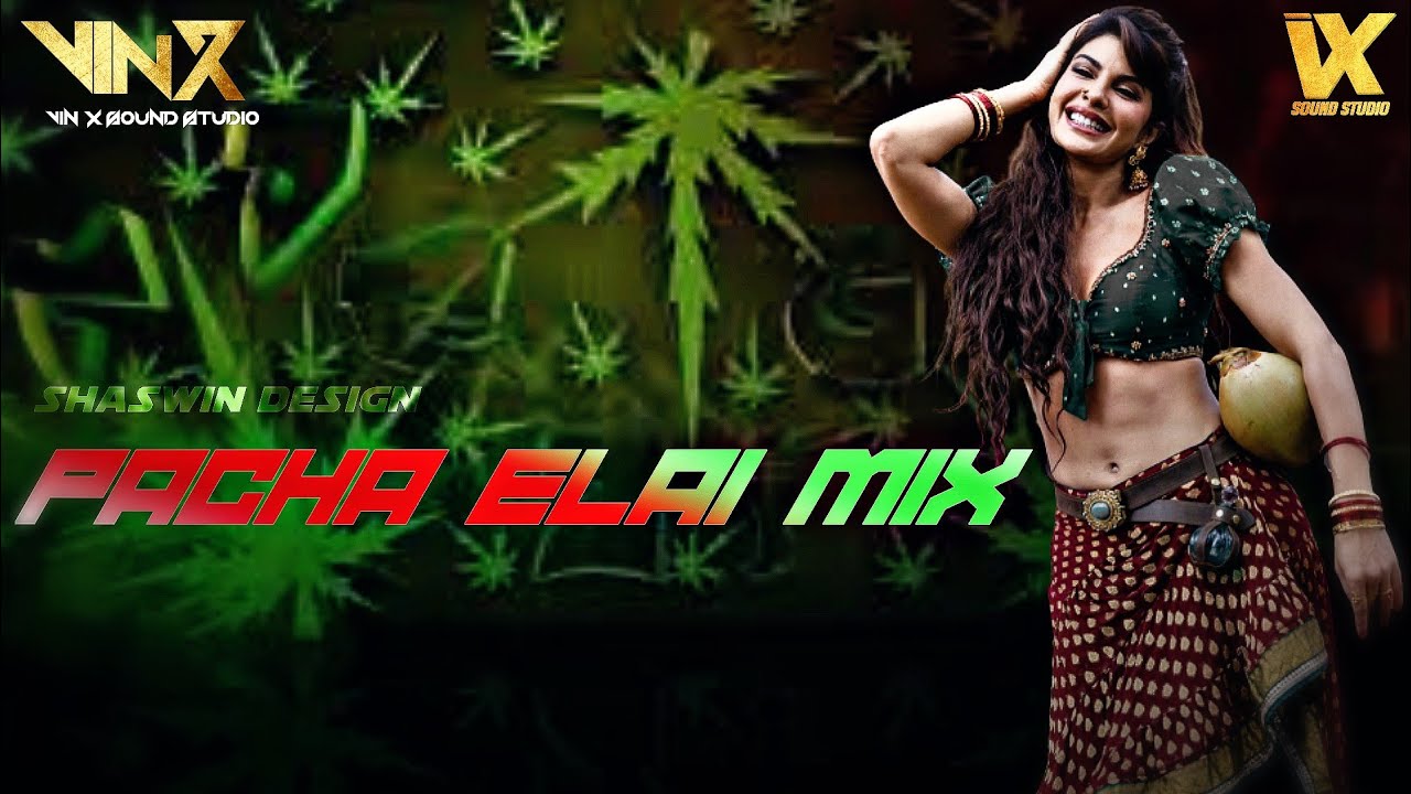 PACHA ELAI MIX - DJ VIN X - VDJ SHASWIN - VIN-X SOUND STUDIO - YouTube