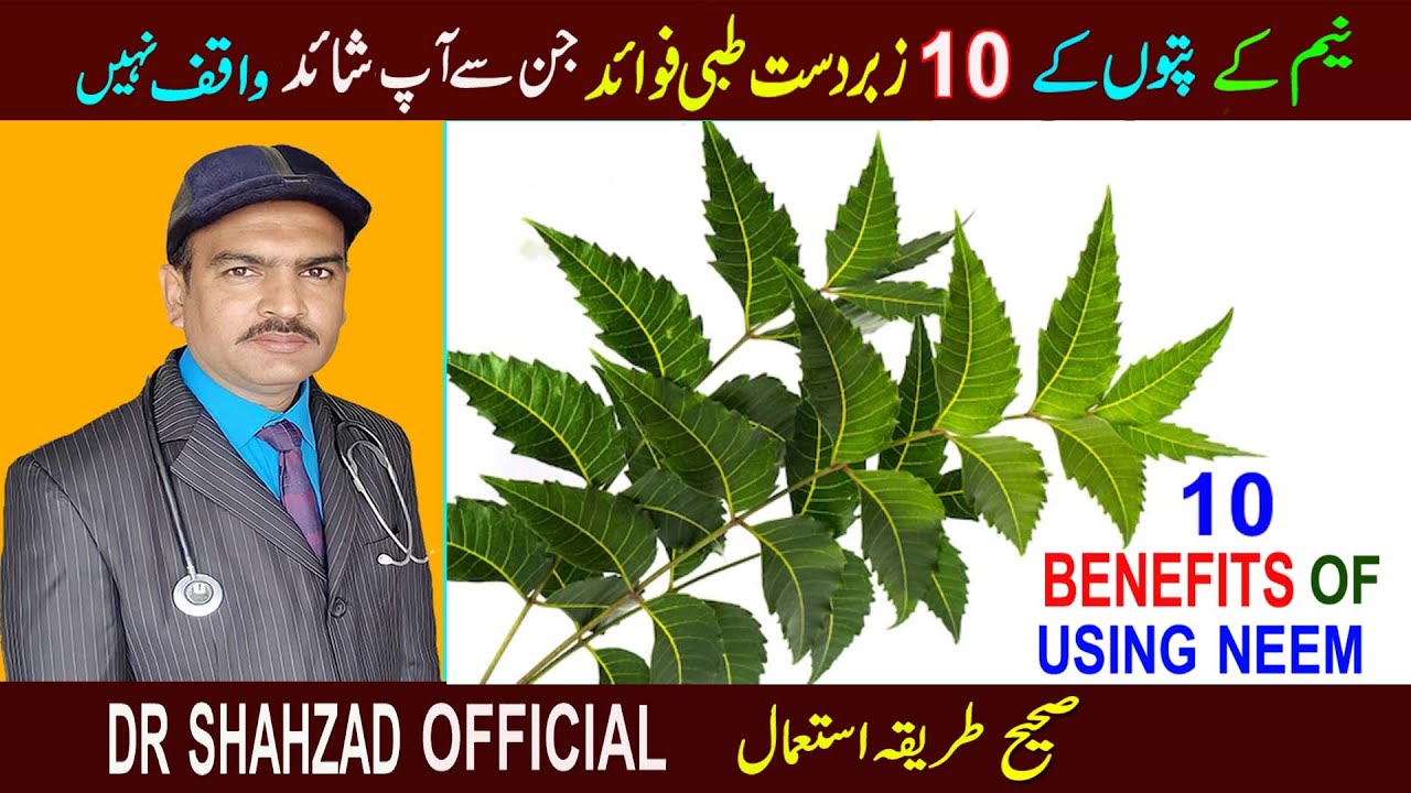 Neem ke Patte ke Fayde | Neem Benefits | Health Benefits of Neem in ...