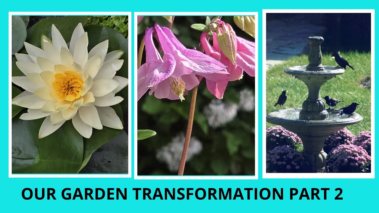 Garden Transformation Part 2 - YouTube