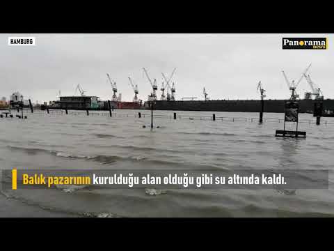 Hamburg'ta Sabine balık halini vurdu