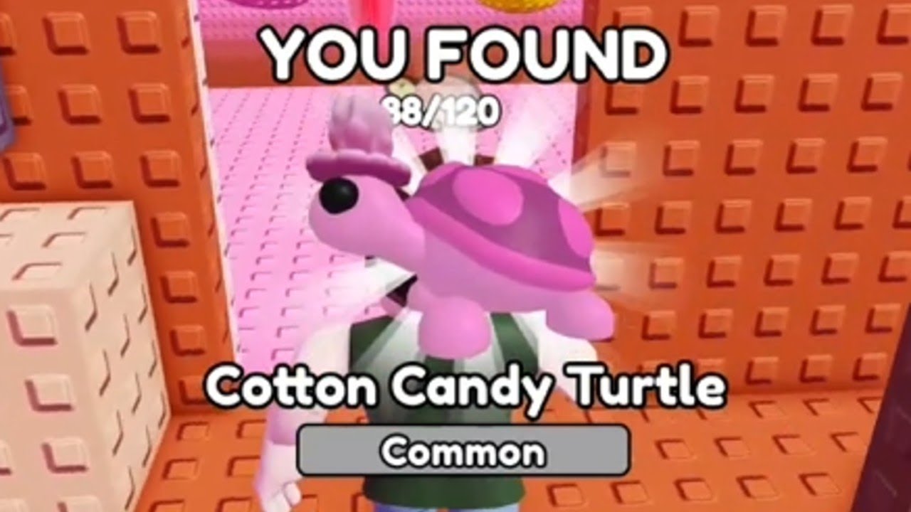 Find the Turtles - Where to Find the Cotton Candy Turtle (Roblox) - YouTube