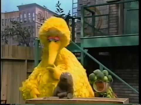 Sesame Street Wolfgang Chases Wanda The Fish - YouTube