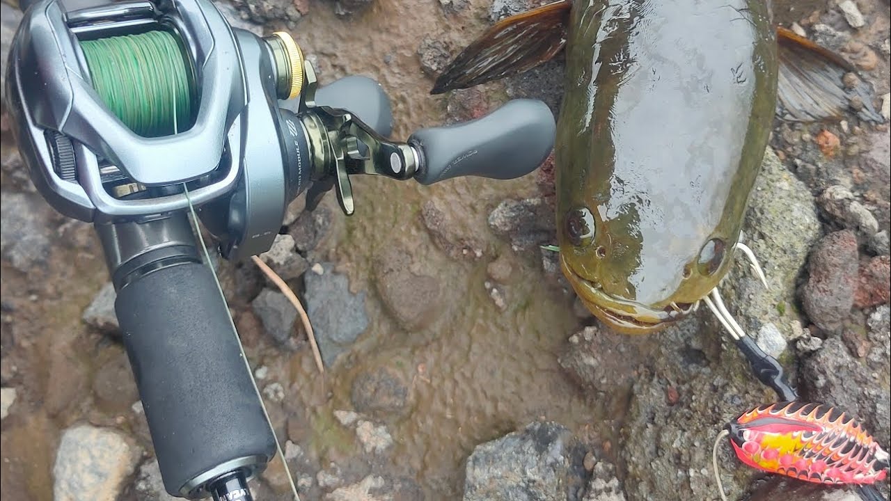 Lure Dragon 6cm from Monster Lure - YouTube