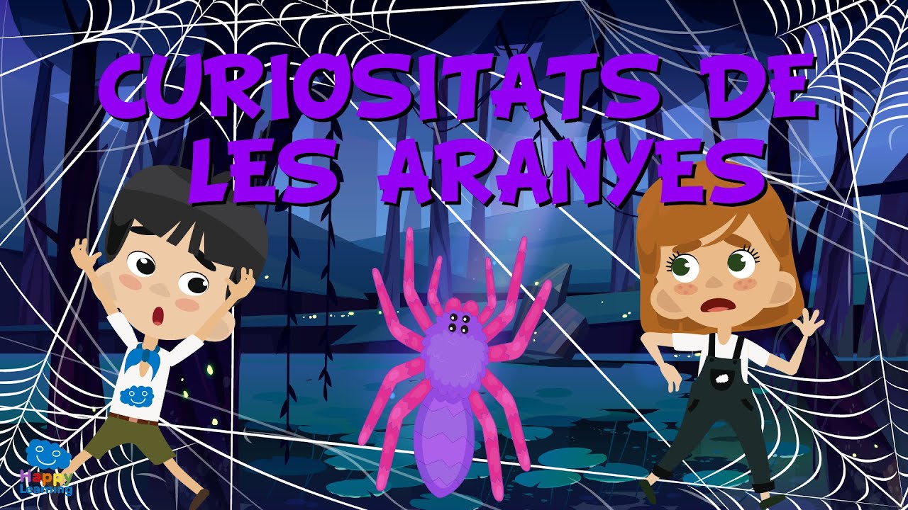 Les aranyes. Curiositats que no coneixies | Vídeos educatius per a nens ...
