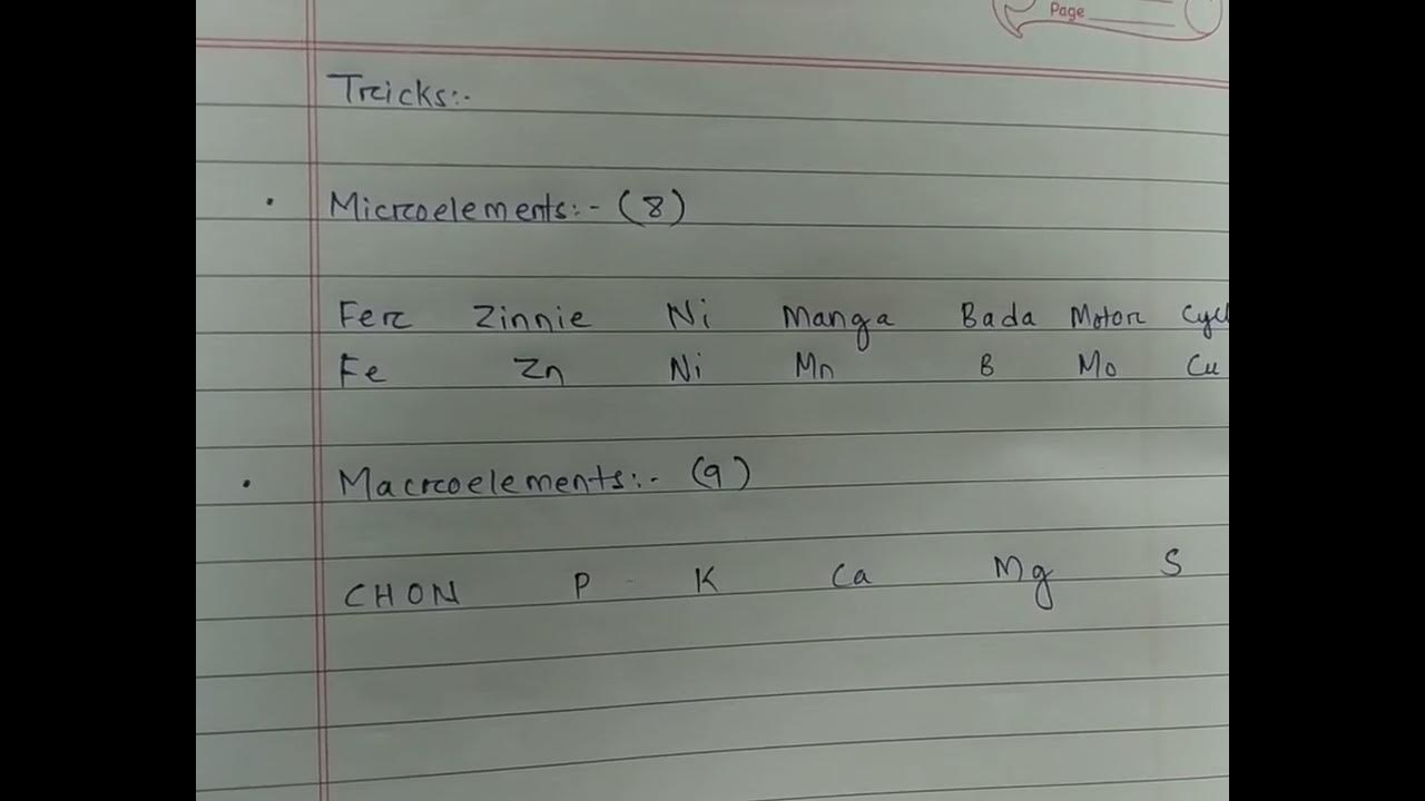 Trick to remember Micro elements And Macro elements - YouTube