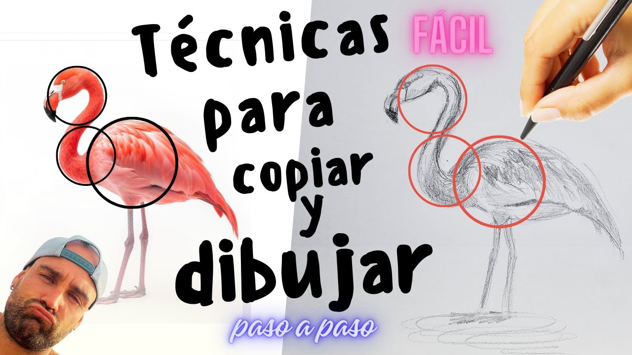 “Aprende Técnicas para Copiar y Dibujar: Consejos y Trucos para Mejorar ...