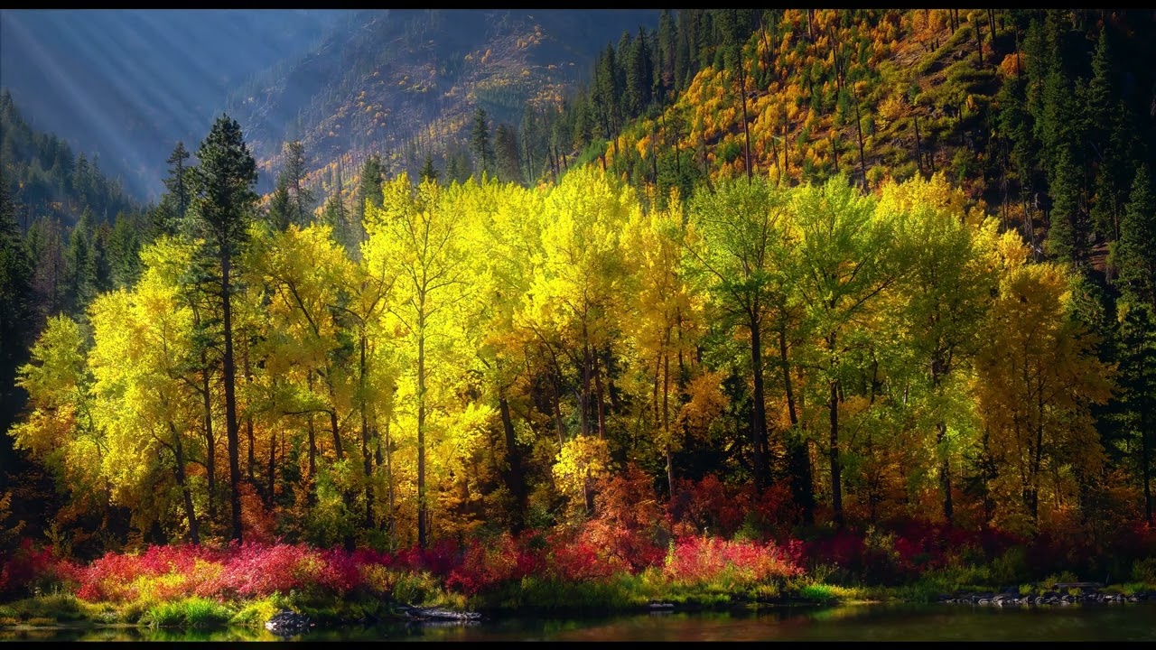 Free, 60 Minutes ASMR Autumn Mountain Scenery for Relaxing Study, Peace ...