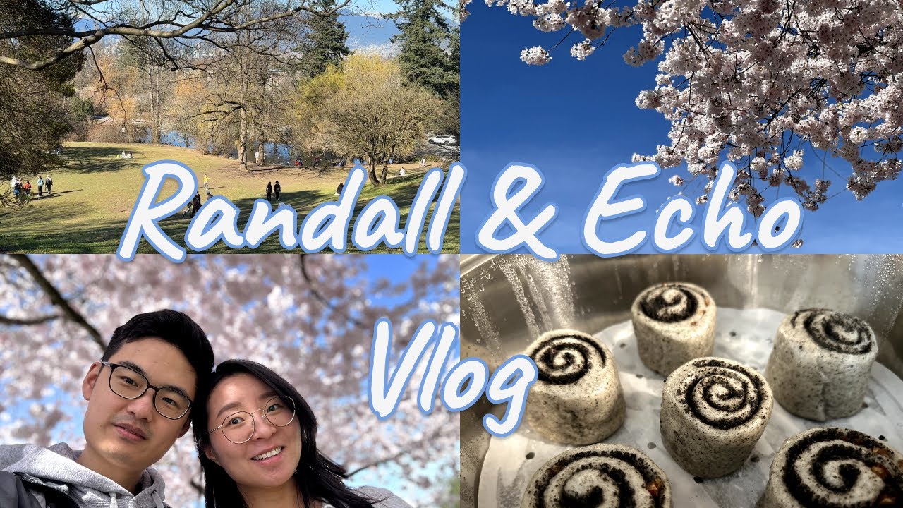 Randall&Echo Vlog｜北美新手爸妈独立坐月子前的准备｜90后夫妻加拿大生活日常｜产前备餐 - YouTube