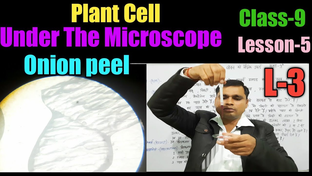 Class-9, Lesson-5 The Fundamental Unit of Life,onion peel - YouTube