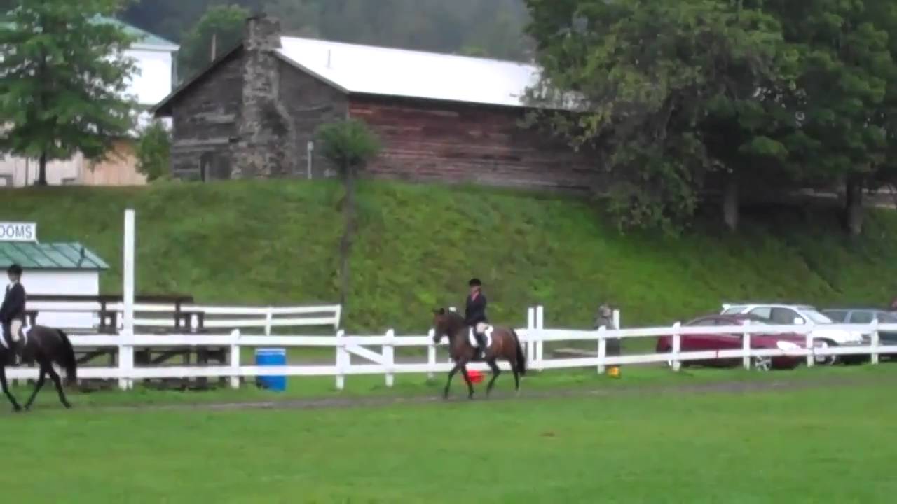 2010 Lippitt Morgan Country Show Tunbridge, Vt. - YouTube