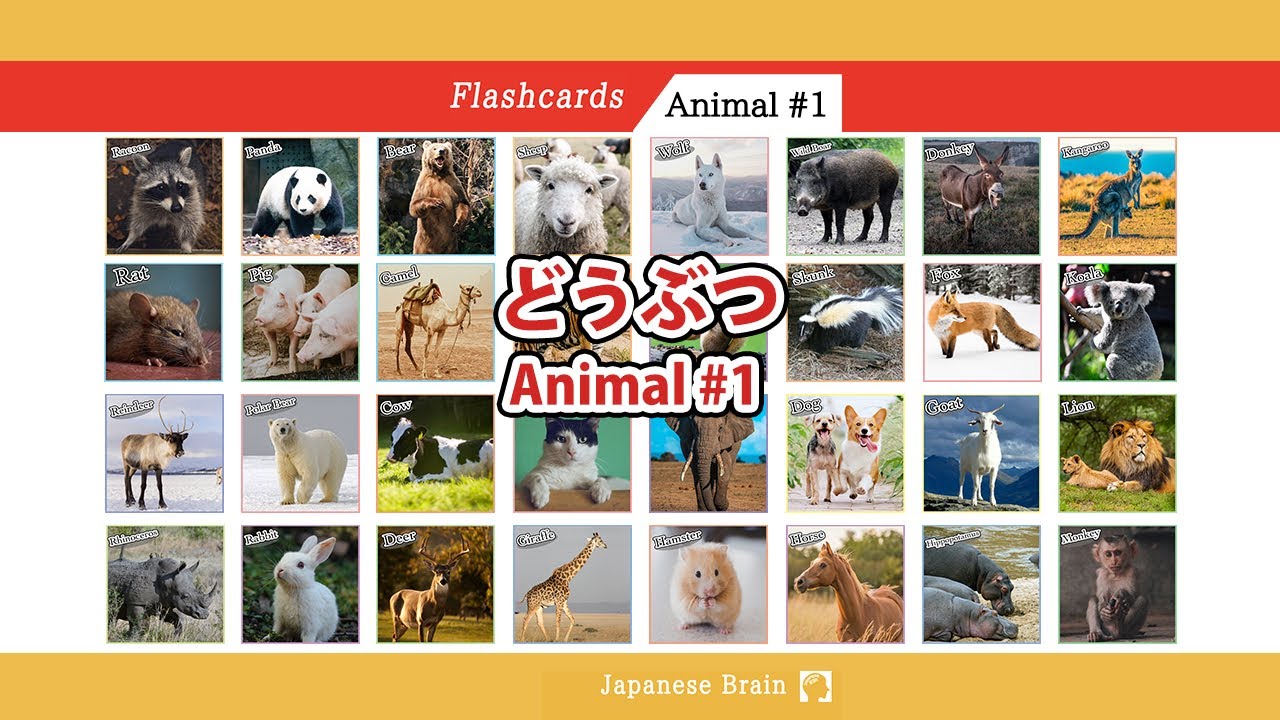 Learn Japanese Words - Animal #1 - Learn, Memorize and Test with ...