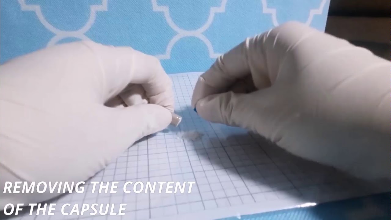 ZAPATA, FARAH INGRID (THE PUNCH METHOD) - YouTube