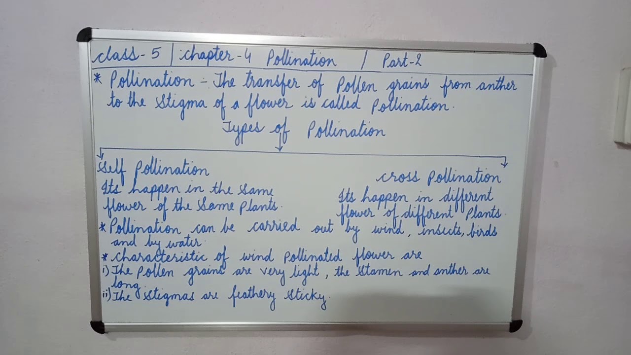 Class 5 Science Chapter 4 Part 2 Page No 50 51 52 YouTube class-5-science-chapter-4-part-2-page-no-50-51-52-youtube
