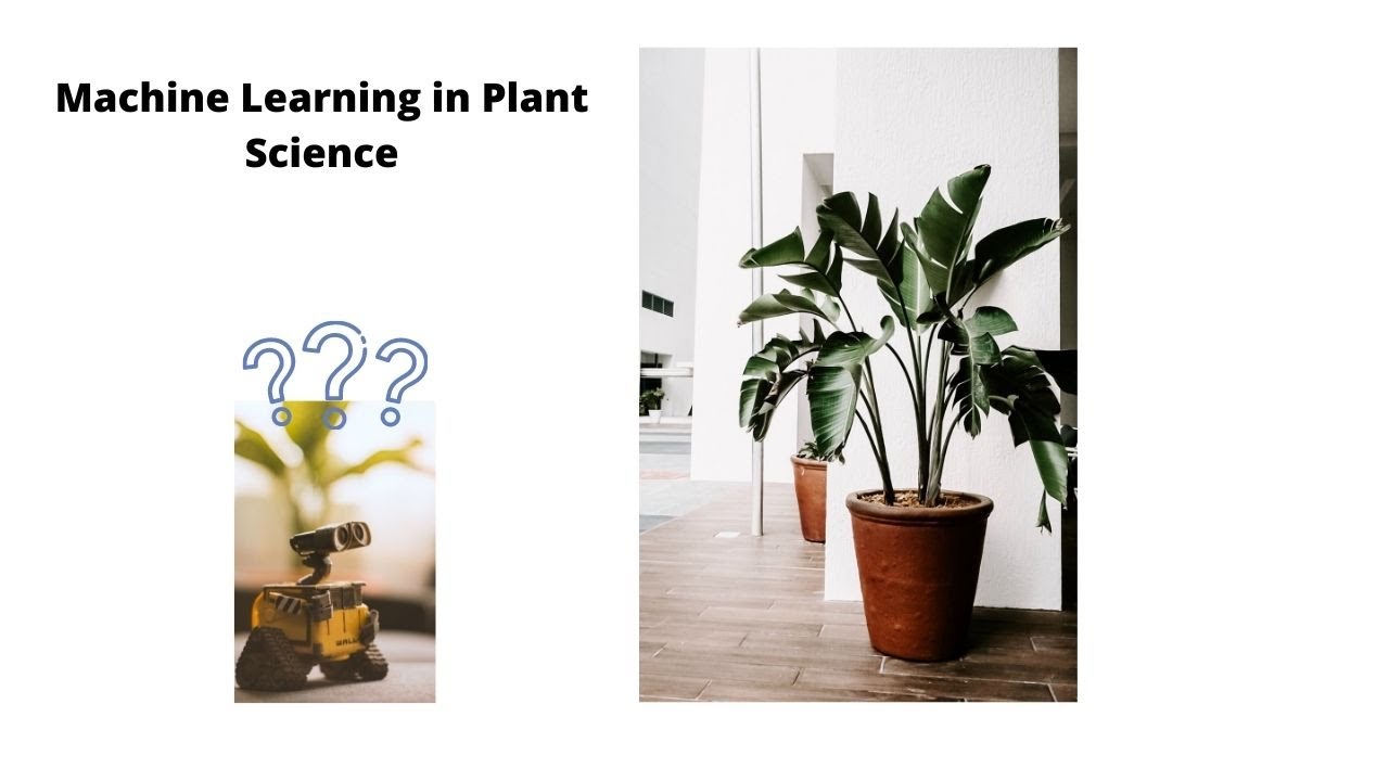 machine learning in plant science - YouTube