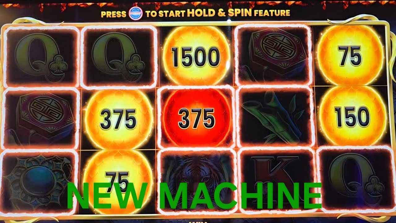 Just Released Big Win Slot Videos: The Latest & Best Payouts