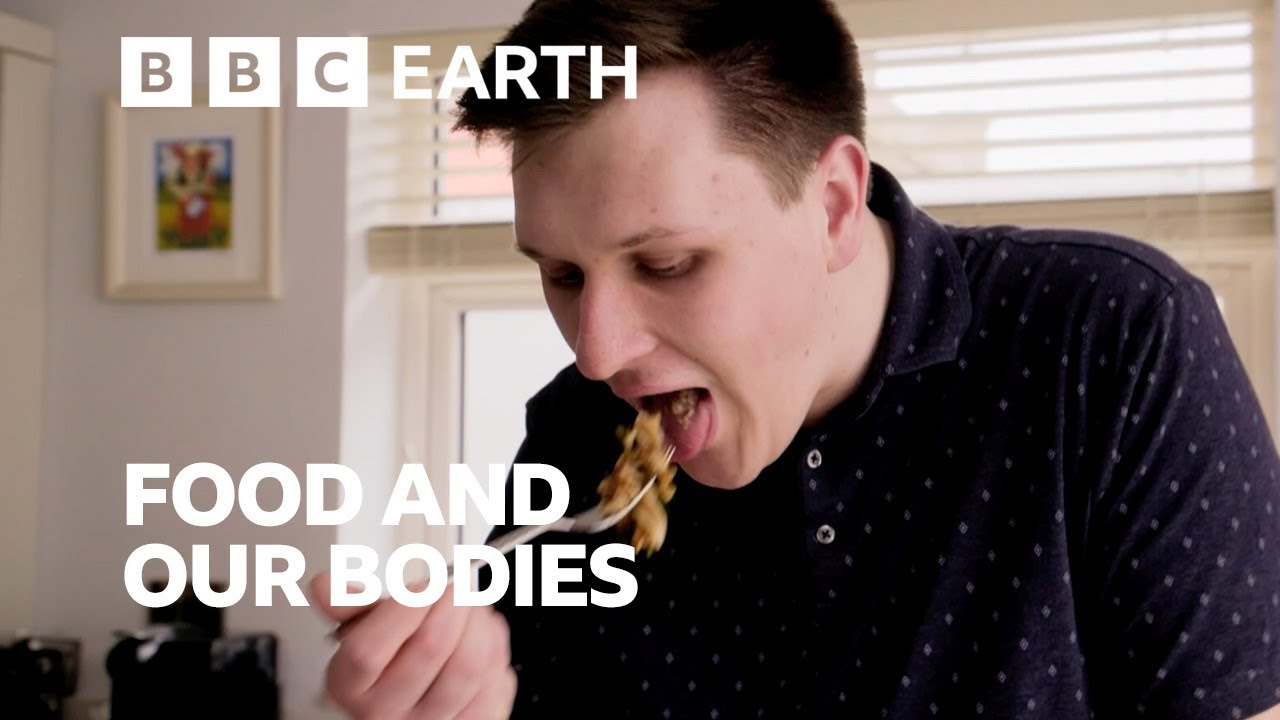 Food and Our Bodies | BBC Earth Science - YouTube