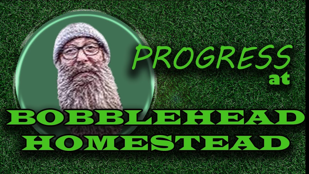 HOMESTEAD PROGRESS at Bobblehead Homestead - YouTube