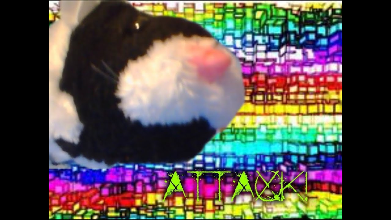 WHEN HAMSTERS ATTACK! - YouTube