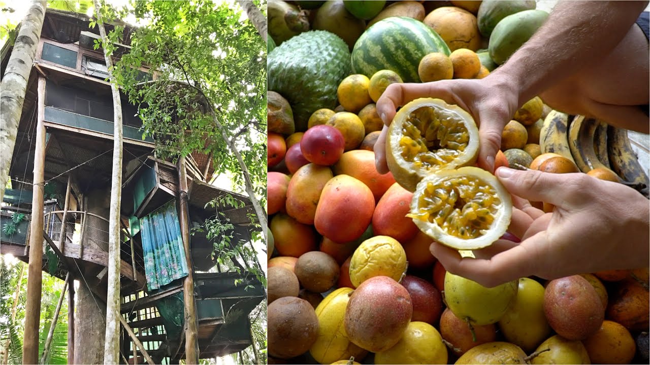 Costa Rican Tropical Fruit Tropical Fruits Of Costa Rica Stock Photo