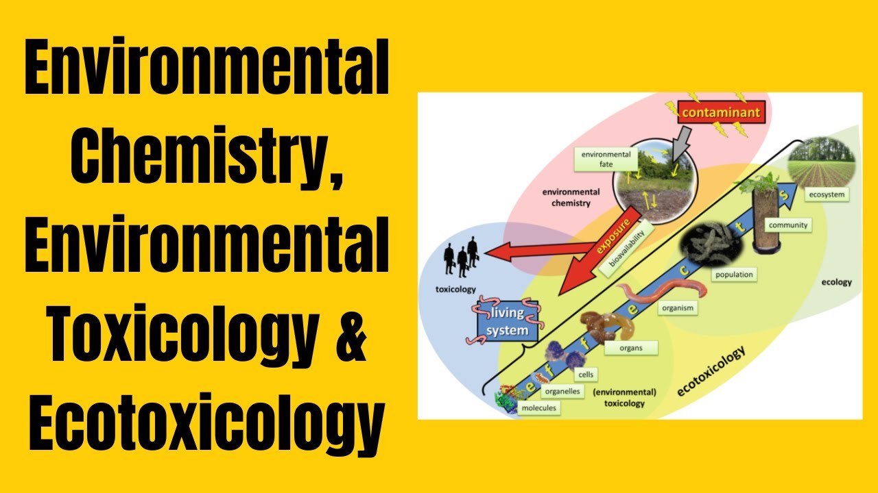Environmental Chemistry, Environmental Toxicology & Ecotoxicology - YouTube