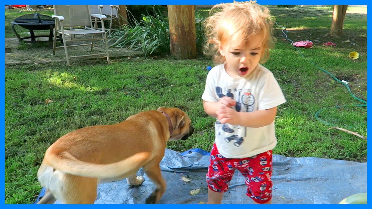 THE DOG ATE HIS POOL!! | Sam & Nia - YouTube
