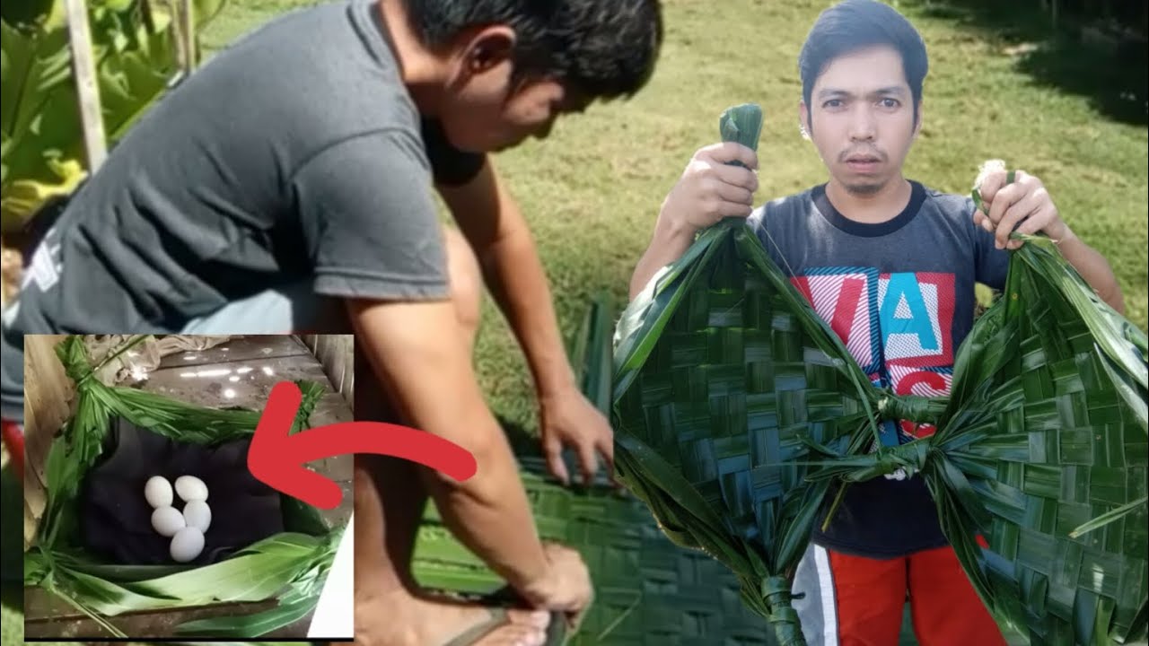 I Make Nest For Chicken Hen [DIY] - YouTube