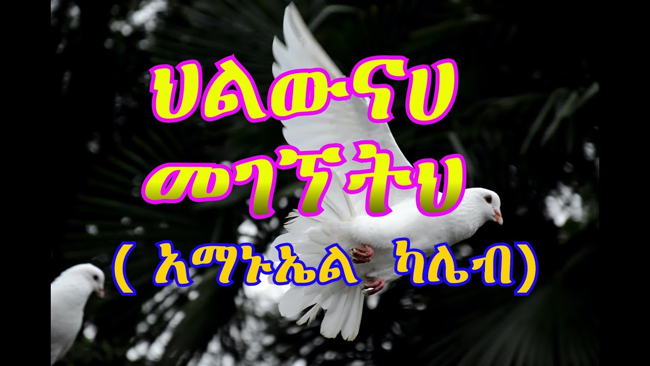 Amanuel Kaleb | Hilwinah Megegnetih | Deep Mezmur | አማኑኤል ካሌብ |ህልውናሀ ...
